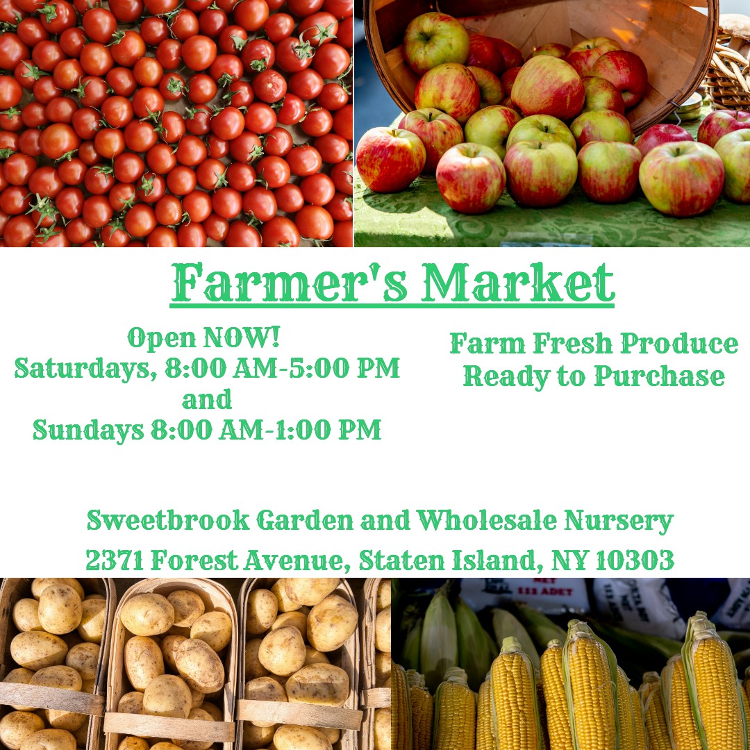 Some of Udderly Delicious's Finest Offerings: Farm Fresh Fruits and Ve ...